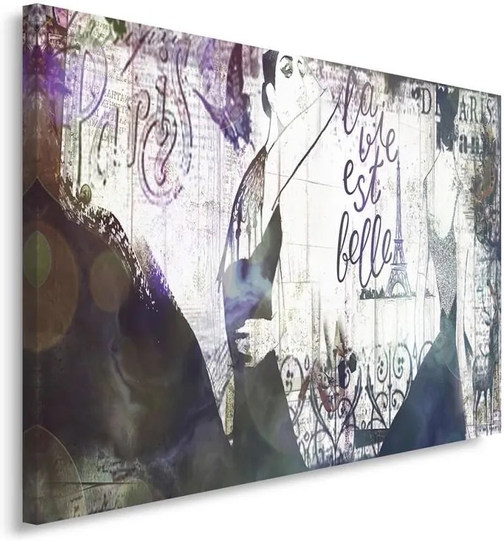 CARO Obraz na plátně - French 2 40x30 cm