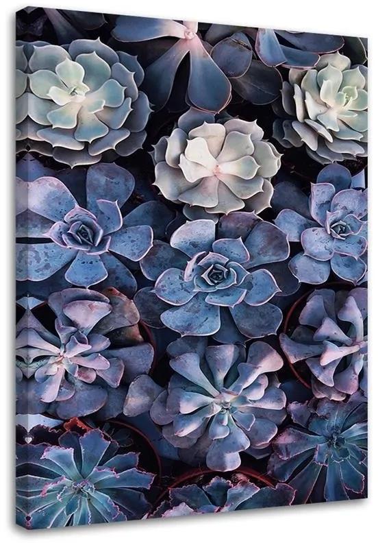 Obraz na plátně Skandinávské květy šeříku - 40x60 cm