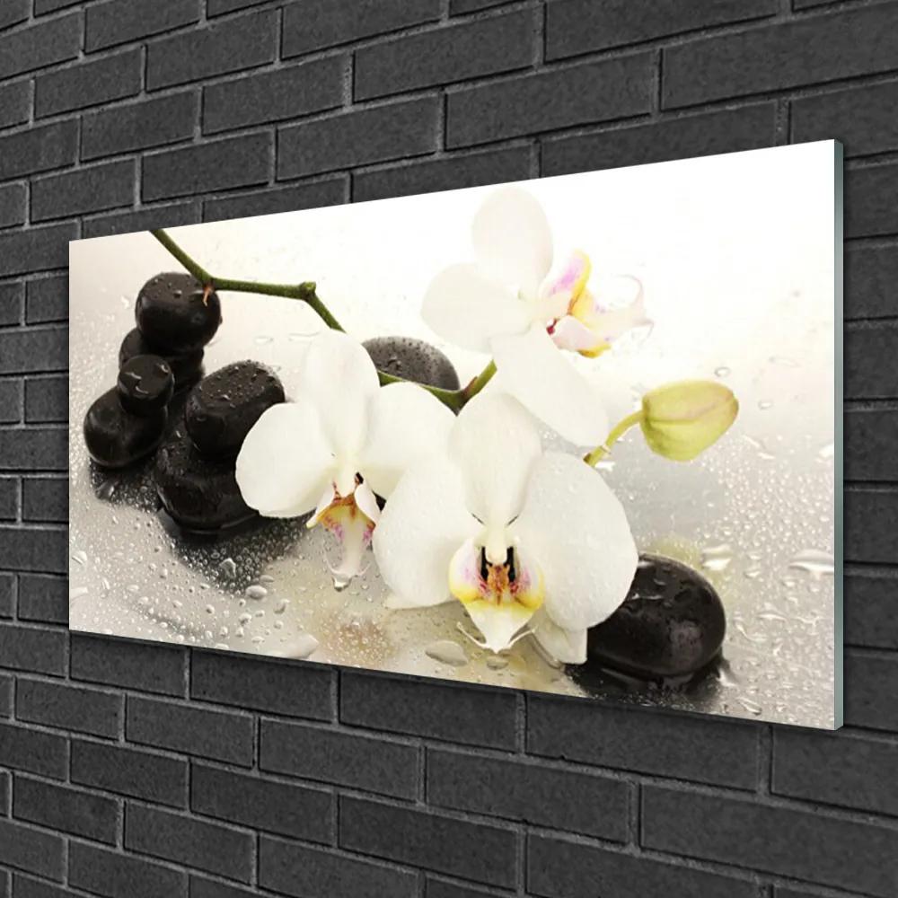 Obraz na skle Květ Kameny Umění 100x50 cm