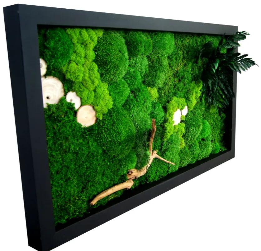 OznTo Obraz mechu a rostlin,3velikosti,3barvy Barva rámečku: Černá, Rozměr rámečku: 80x40cm