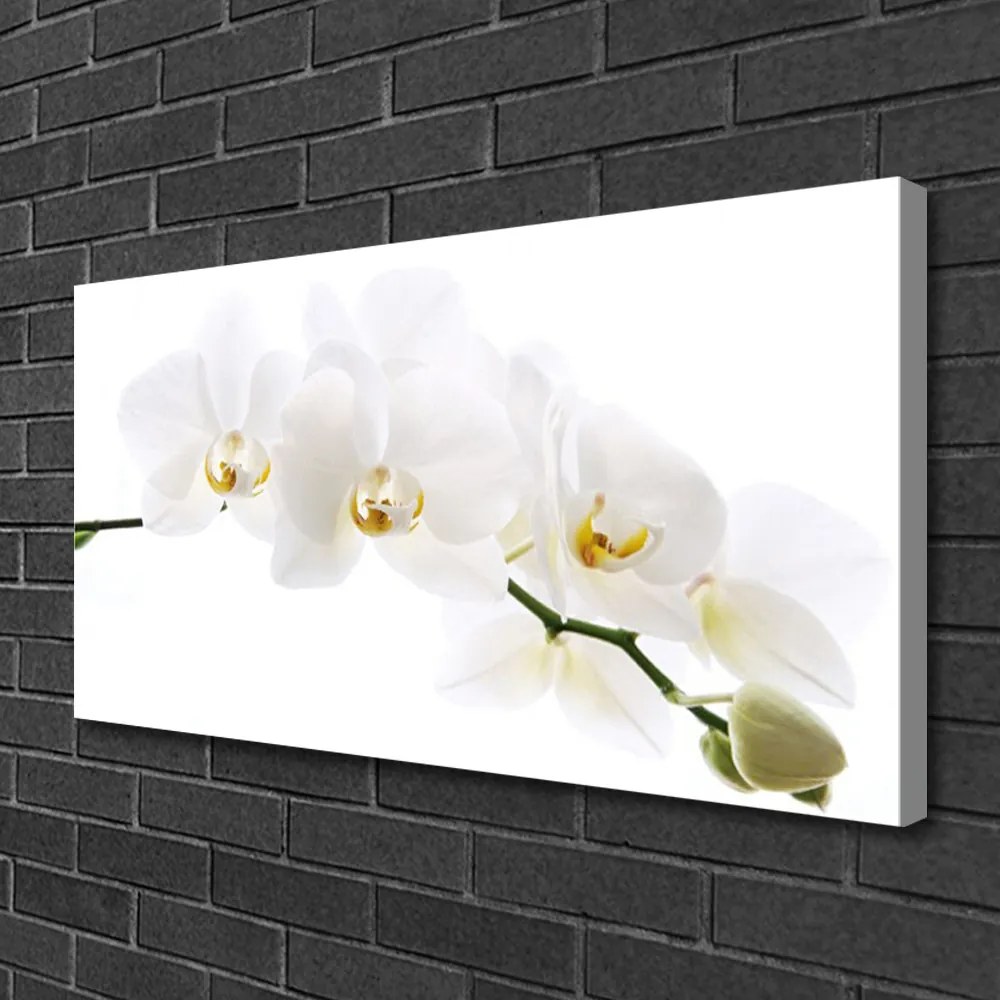 Obraz na plátně Květíny Rostlina 125x50 cm