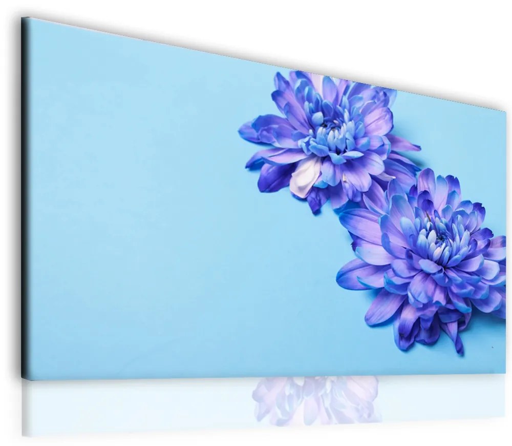 InSmile ® Obraz modré květiny Velikost: 150x100 cm