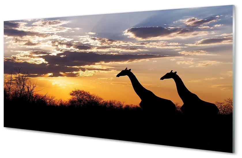 akrylový obraz Žirafy strom mraky 125x50 cm