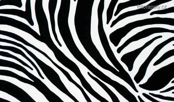 Gekkofix Samolepící fólie Decor, Zebra Varianta: Zebra, šíře 45cm, cena za 1 m