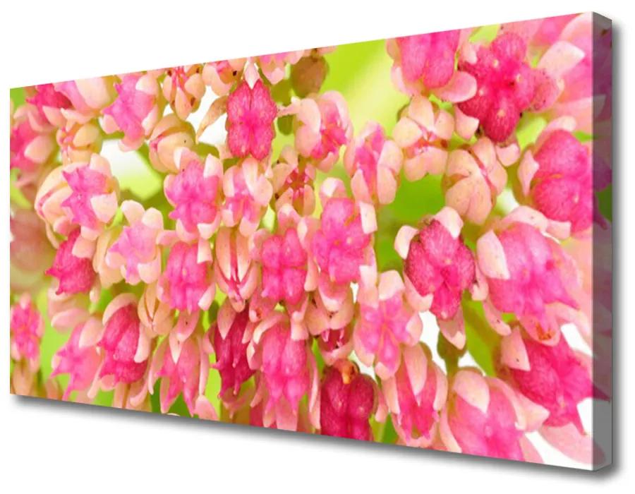Obraz na plátně Květ Lotosu 120x60 cm