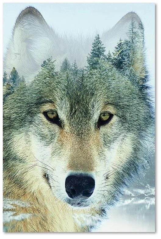 Obraz na plátně Vlk na pozadí lesní přírody - 40x60 cm