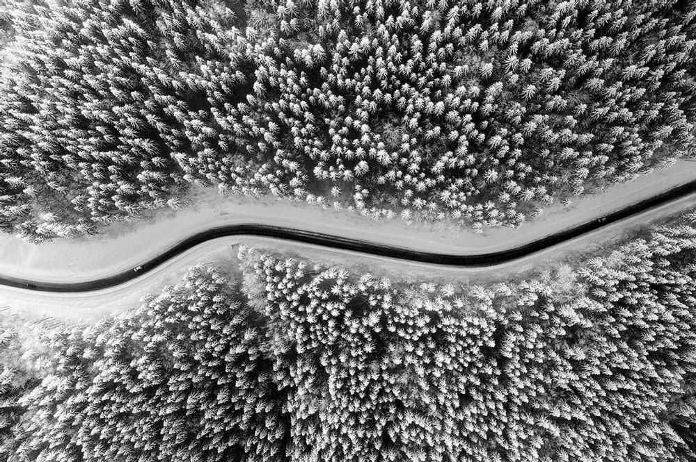 Samolepící fototapeta pohled na zimní černobílou krajinu - 225x150 cm