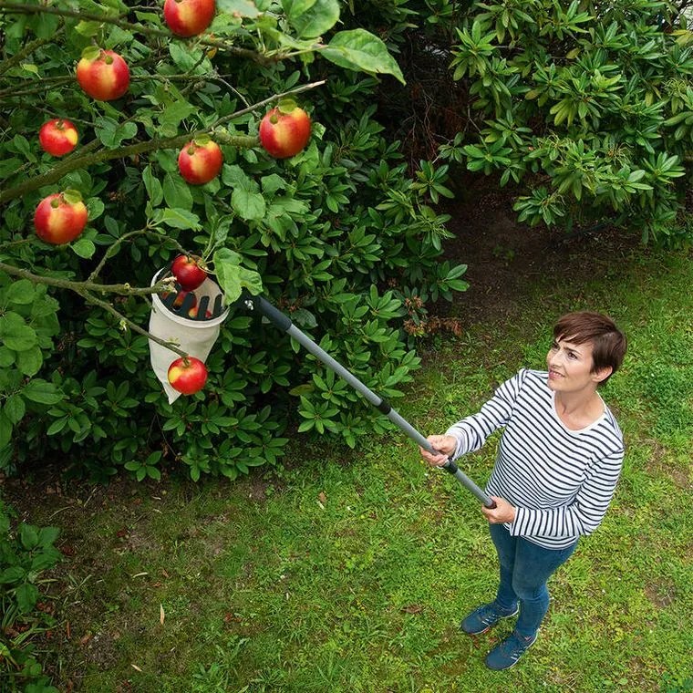 Česáček na ovoce s teleskopickou rukojetí