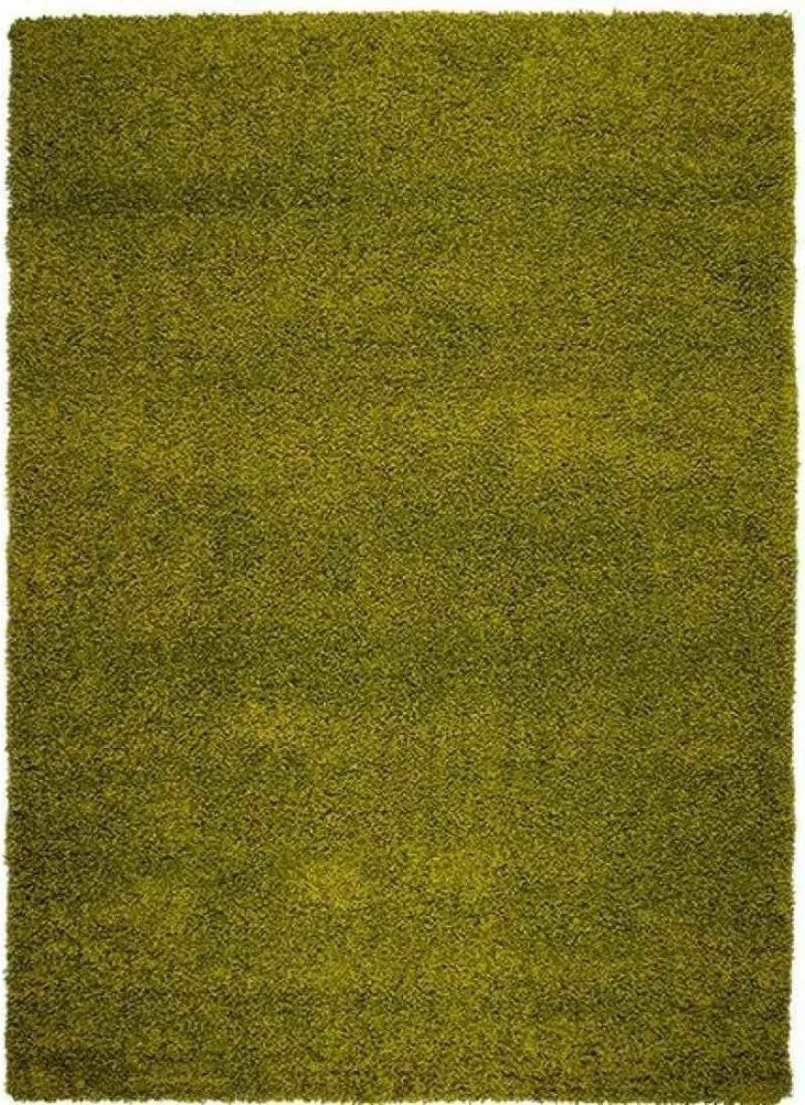 Kusový koberec Shaggy Faustino zelený, Velikosti 40x60cm