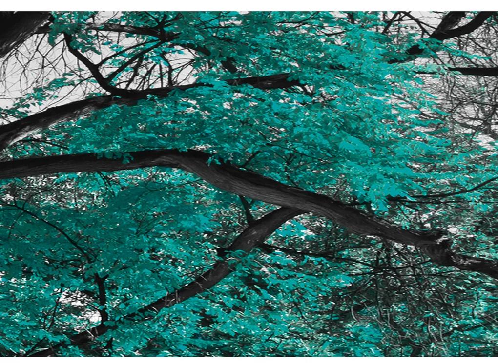 Pětidílný obraz tyrkysová krajina II + háčky a hřebíčky ZDARMA Velikost (šířka x výška): 125x50 cm