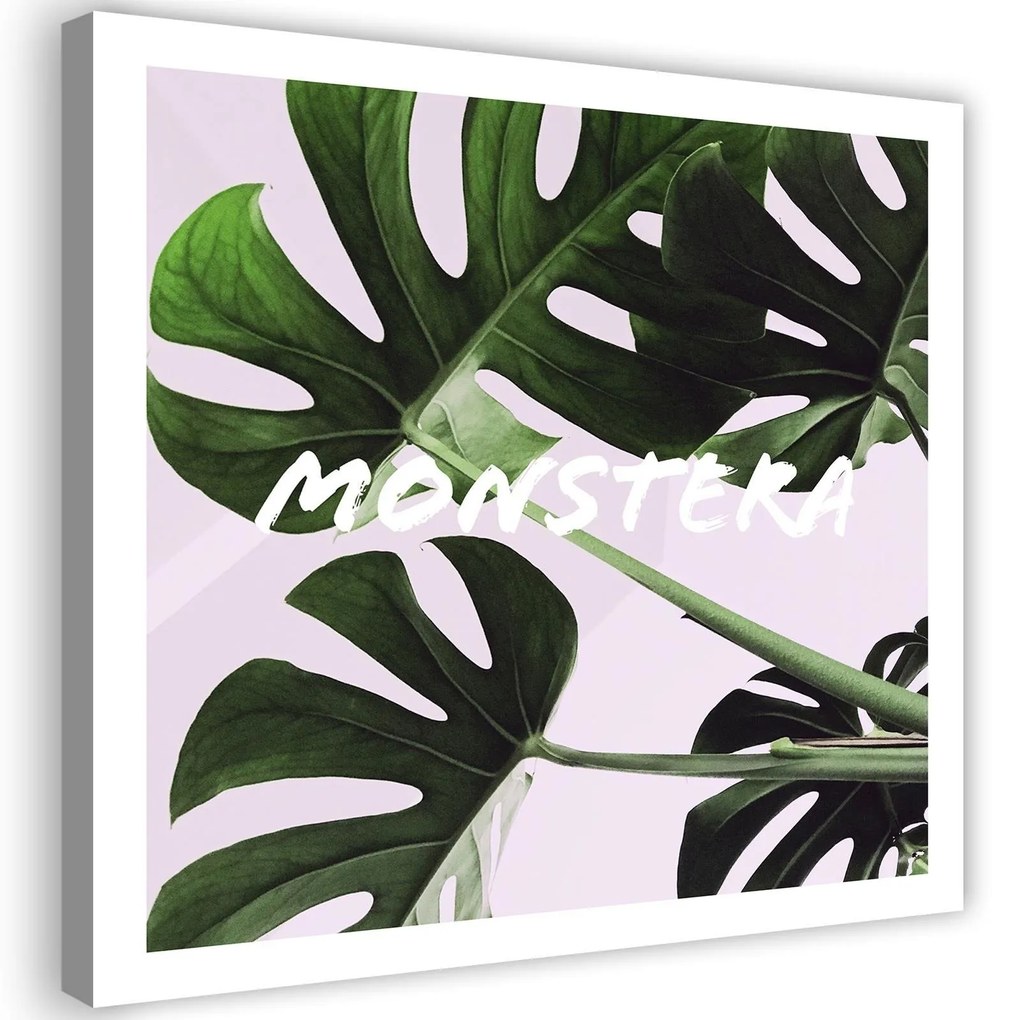 Gario Obraz na plátně Exotické listy - monstera Rozměry: 30 x 30 cm