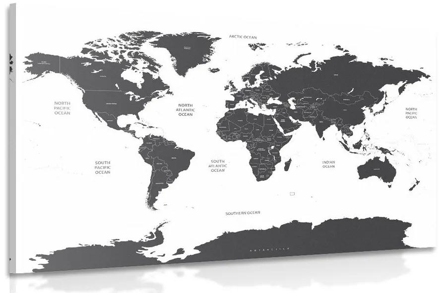 Obraz mapa světa s jednotlivými státy v šedé barvě Varianta: 120x80