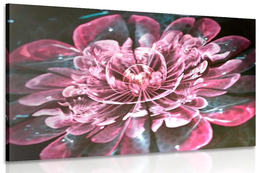 Obraz magický růžový květ Varianta: 120x80