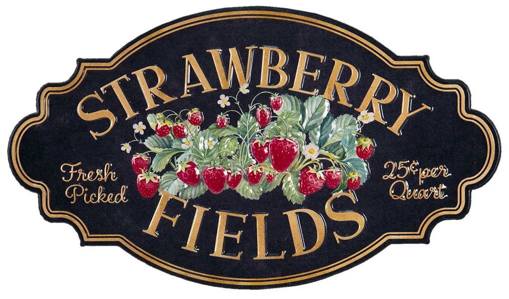 Černá nástěnná kovová cedule Strawberry Fields - 48*1*27 cm