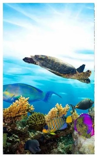 DIMEX | Vliesová fototapeta na zeď Ryby v oceánu MS-2-0216  | 150 x 250 cm | modrá, vícebarevná