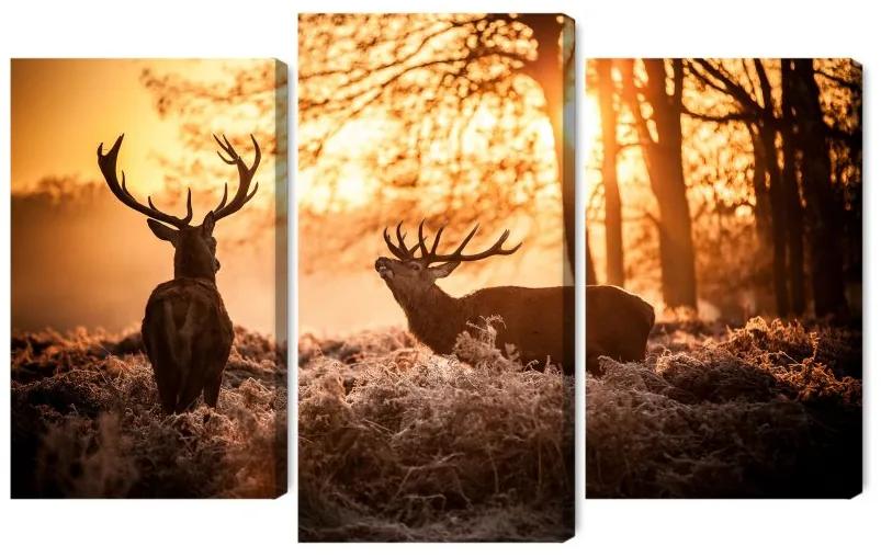 Vícedílný obraz Dva Jeleni V Lese Při Západu Slunce 3D Nedostatek Nedostatek Plátno Canvas 150x100
