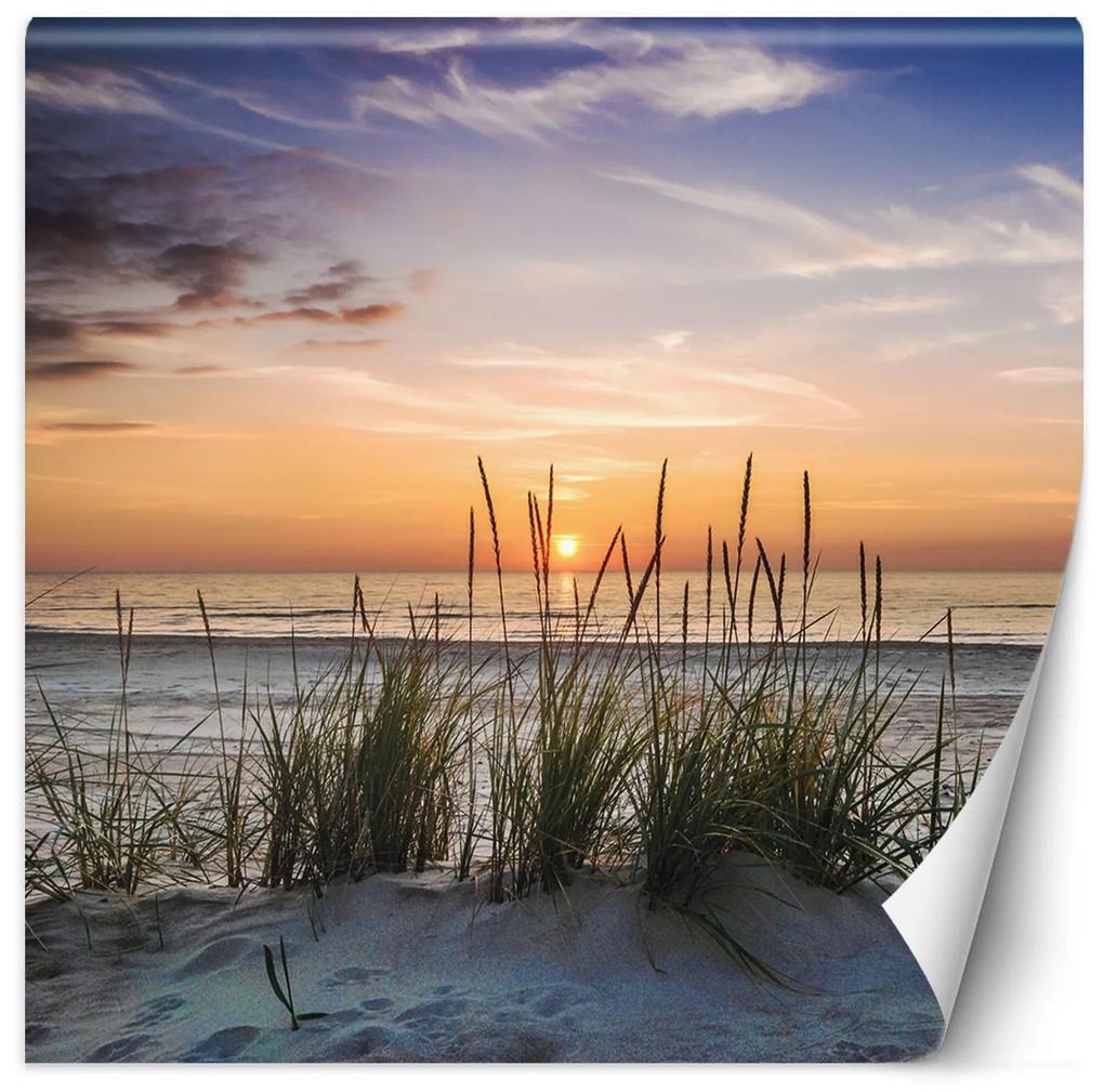 Gario Fototapeta Dovolená krajina - moře, duny, pláž, západ slunce Materiál: Vliesová, Rozměry: 100 x 100 cm