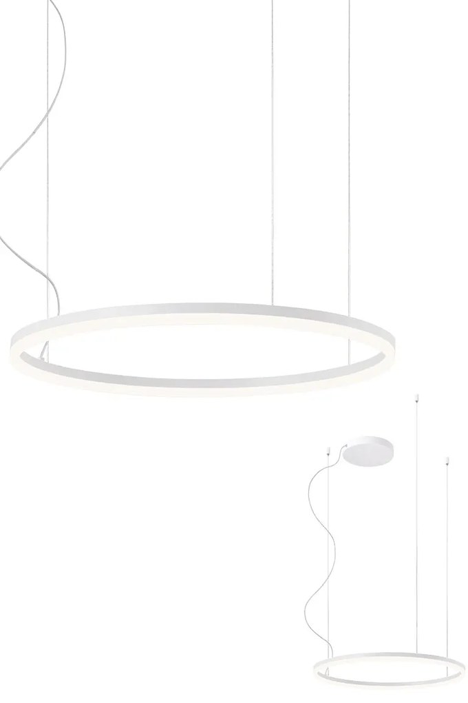 Redo group Redo Orbit direct, závěsné kruhové svítidlo, 40,5W LED 4000K DALI, bílá, prům. 60cm