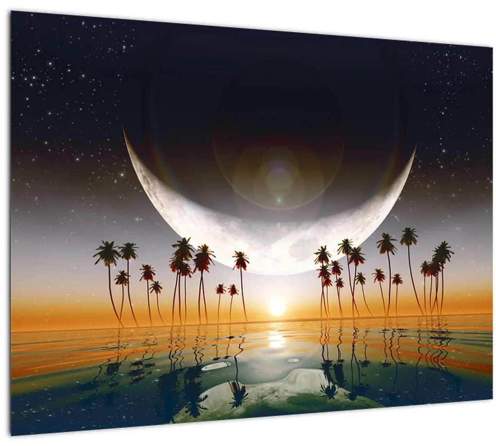 Skleněný obraz - Měsíc nad palmami (70x50 cm)