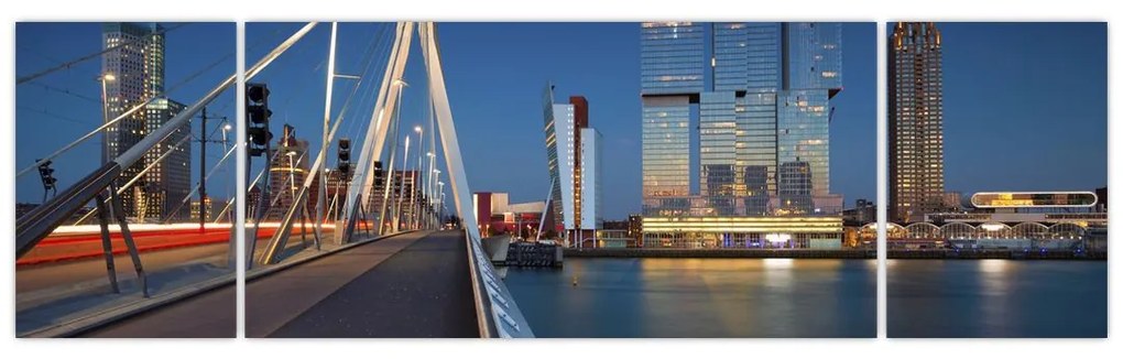 Obraz - Stmívání v Rotterdamu, Holandsko (170x50 cm)