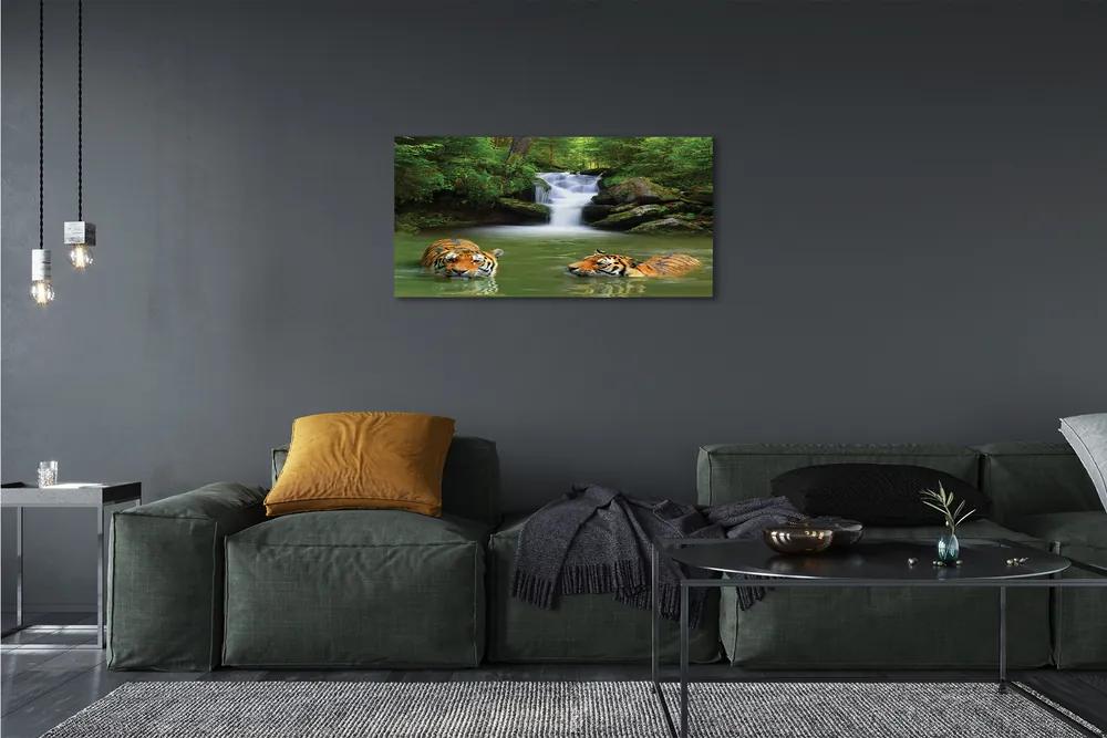 Obrazy na plátně vodopád tygři 120x60 cm