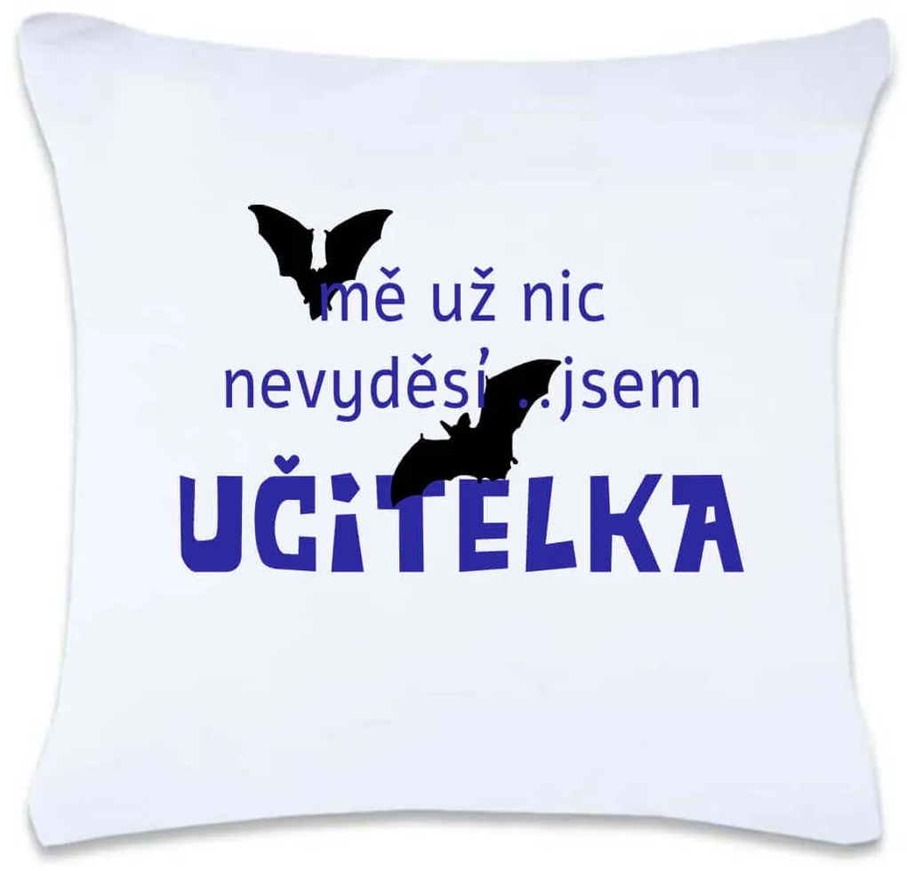 Super plecháček Dekorační polštář s potiskem Jsem učitelka 40 x 40 cm Oboustranný tisk: ANO