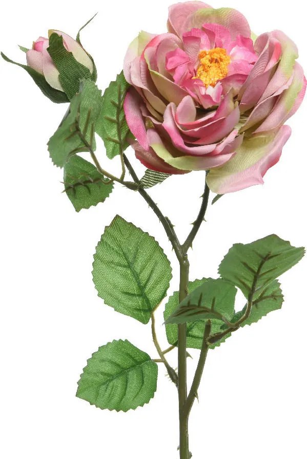 XXXLutz RŮŽE 42 cm - Umělé květiny - 0037546702