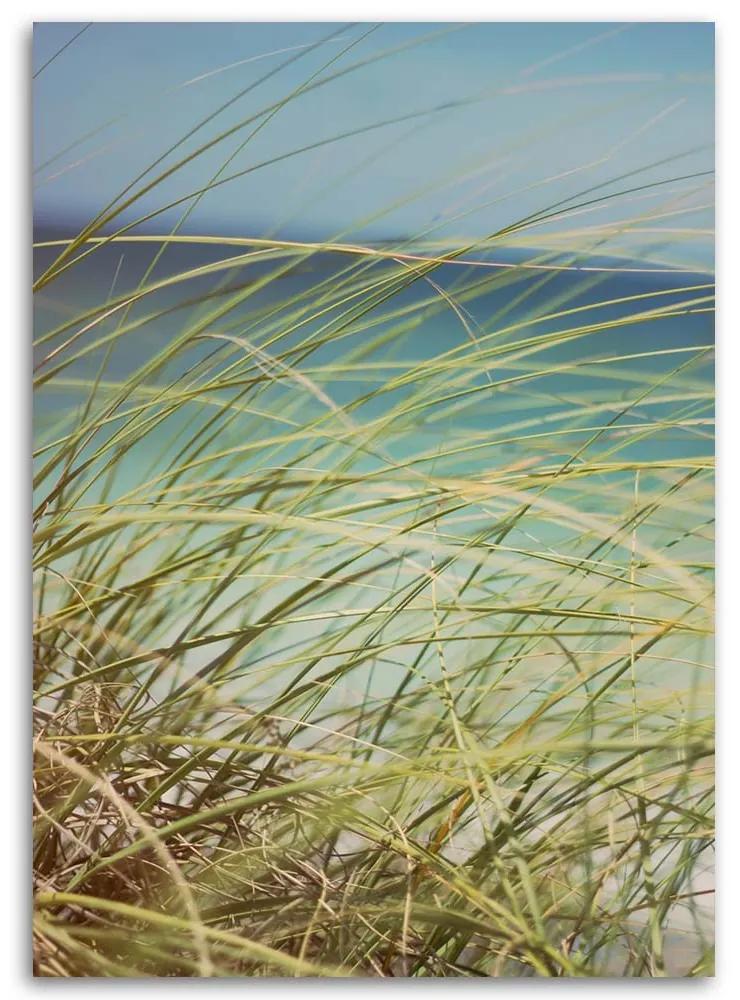 Gario Obraz na plátně Tráva na dunách Rozměry: 40 x 60 cm