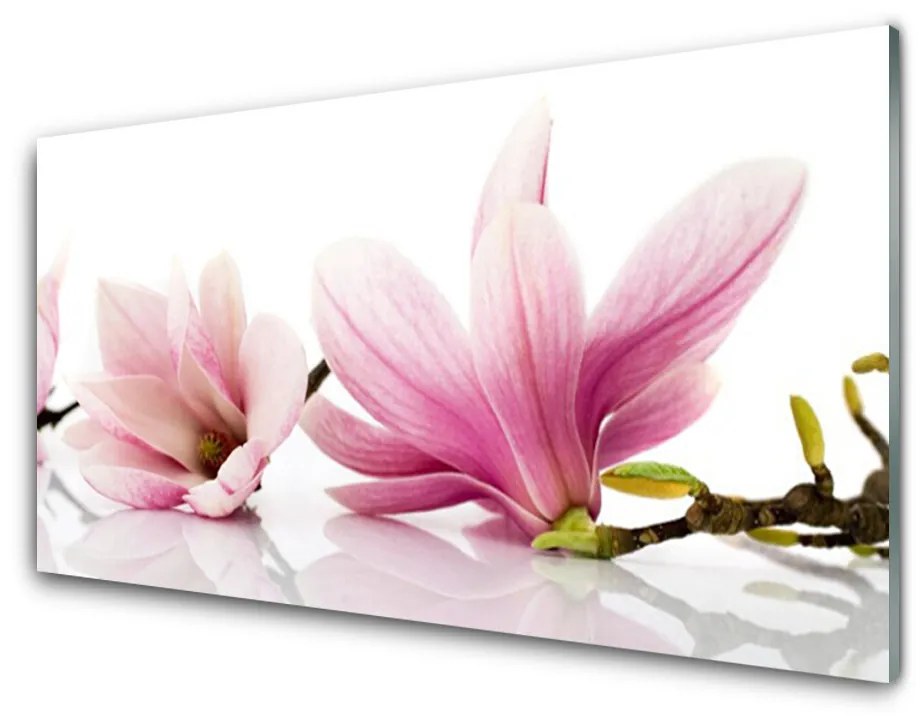Plexisklo-obraz Květiny Rostlina Příroda 140x70cm
