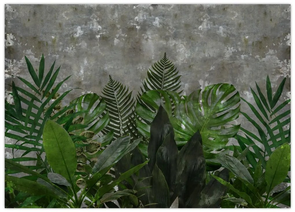 Obraz - Betonová zeď s rostlinami (70x50 cm)
