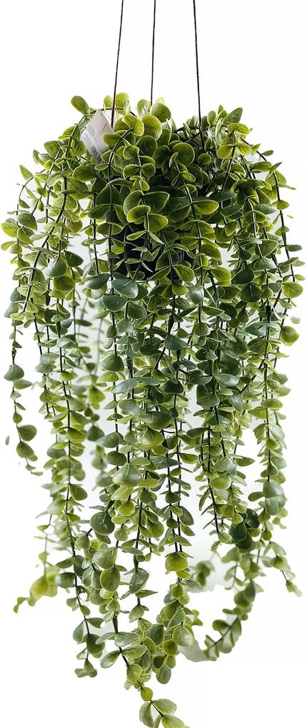 Umělá rostlina SENECIO, závěsná, 60 cm