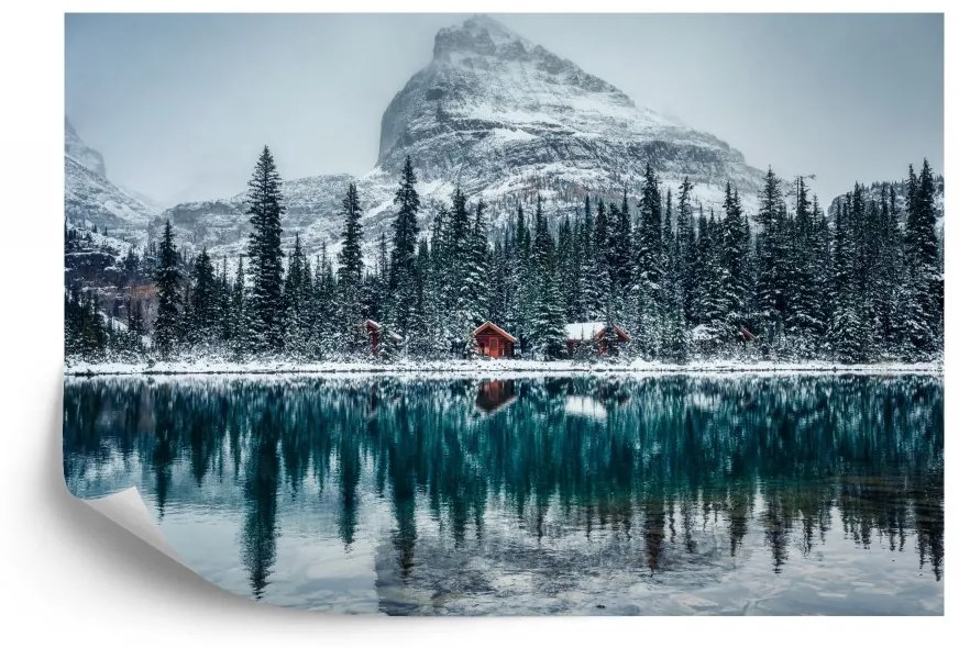 Fototapeta Lake O&amp;#039;hara V Kanadě Hladký vinyl 104x70.5