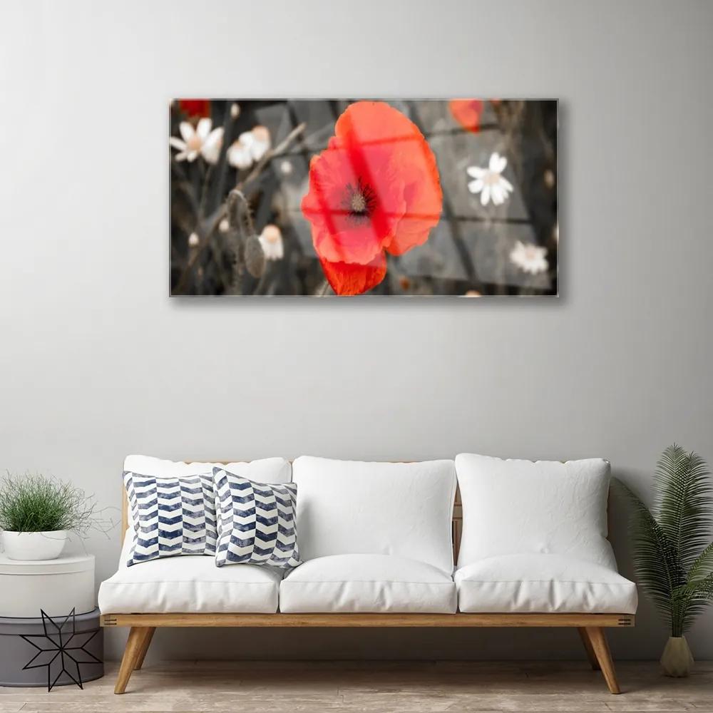 Obraz na skle Květiny Rostlina 100x50 cm