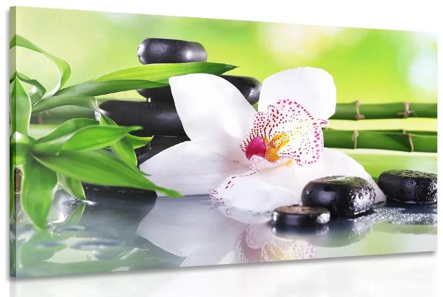 Obraz japonská orchidej Varianta: 120x80