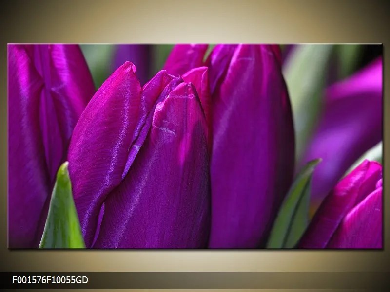 Obraz fialových tulipánů (), 40 dalších rozměrů