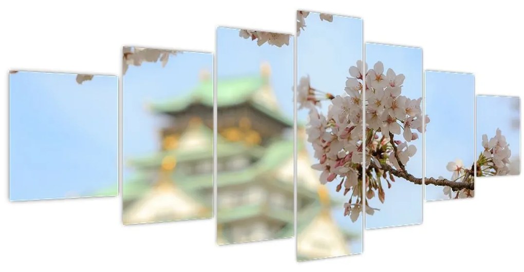 Obraz - Sakura (210x100 cm)