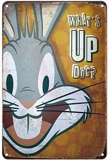 Cedule Whats Up Doc ?
