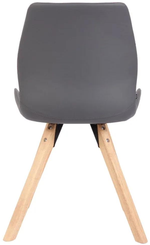 Bhm germany Jídelní židle Luna (SET 2 ks), syntetická kůže, šedá