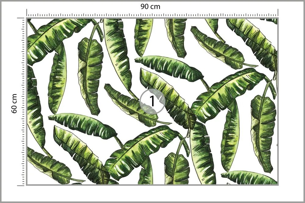 Fototapeta Leaves Příroda Omyvatelný vlies 152.5x104