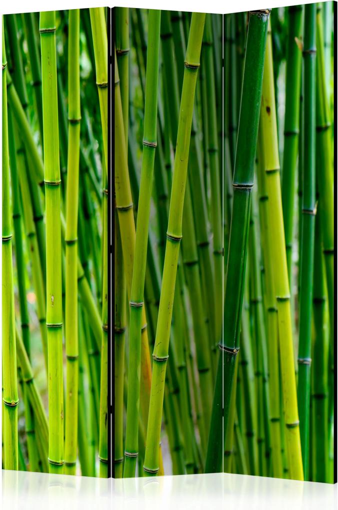 Artgeist Paraván - Bamboo Forest [Room Dividers] 135x172 7-10 dní