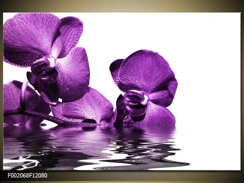 Obraz na plátně Fialové orchidejky, Obdélník 120x80cm 2198 Kč