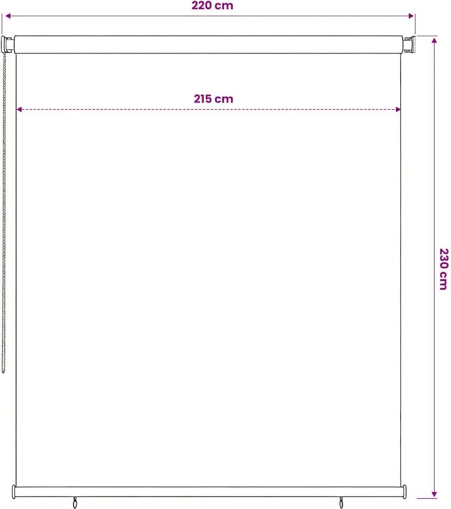 Venkovní roleta 225 (Š) x 230 (V) cm modrá HDPE 312856