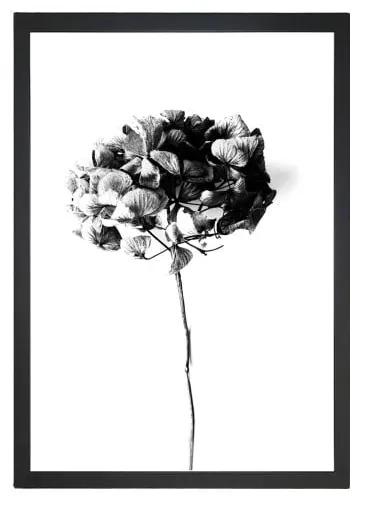 Obraz Tablo Center Velvet Flower, 24 x 29 cm