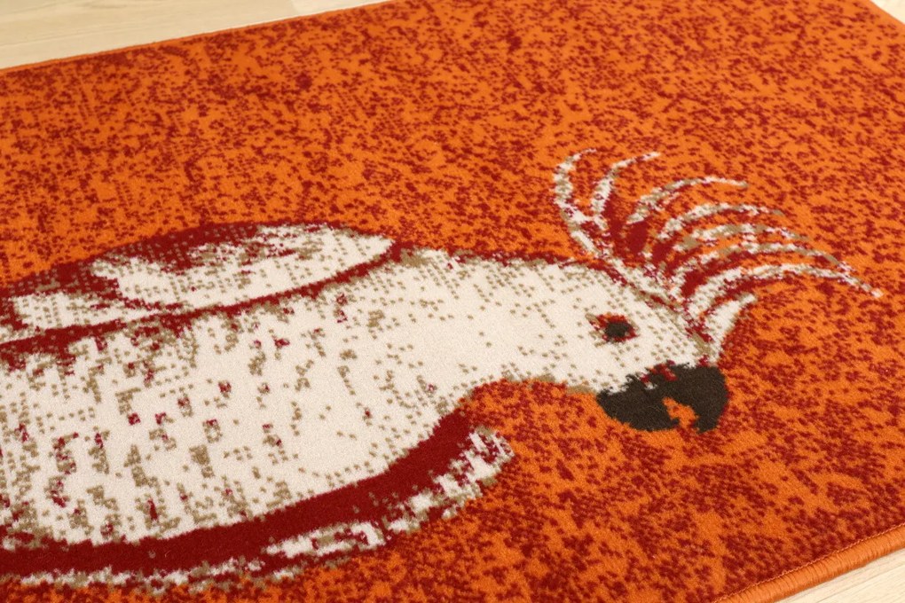 Alfa Carpets, TRHÁK: Kusový koberec Kakadu orange, 80x120, oranžová, dětský pokoj