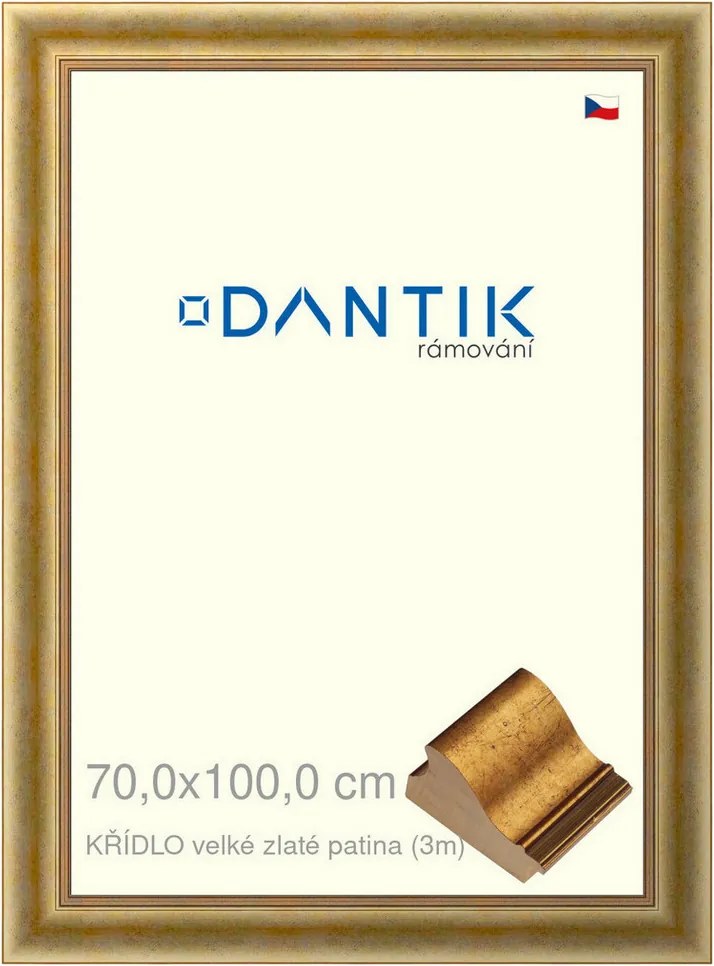 DANTIK rámeček 70x100 | KŘÍDLO velké zlaté patina (Plexi Čiré)