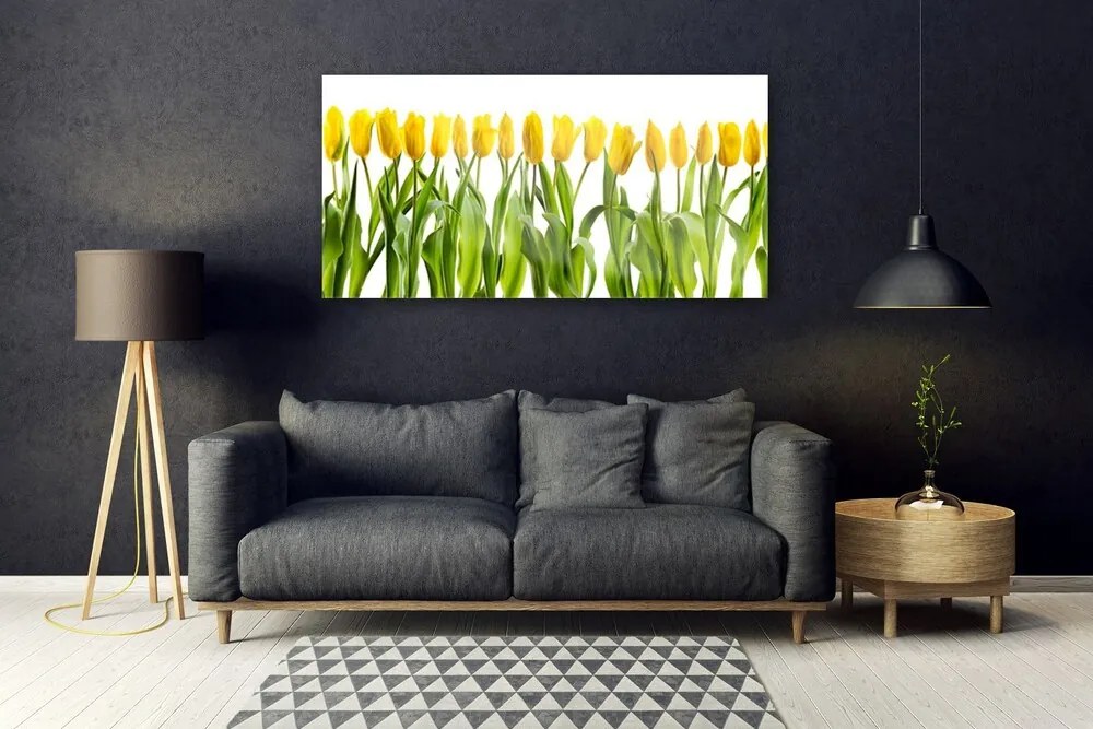 Plexisklo-obraz Tulipány Květiny Příroda 120x60 cm