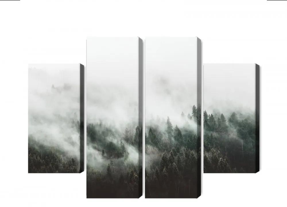 Vícedílný obraz Zamlžená 3D Lesní Krajina Nedostatek Nedostatek Plátno Canvas 200x150