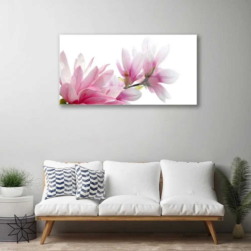 Obraz na skle Magnolie Květ 125x50 cm