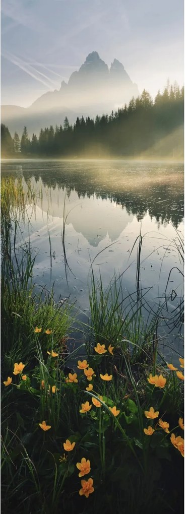 Komar Vliesová fototapeta Morning Mist 100 x 280 cm