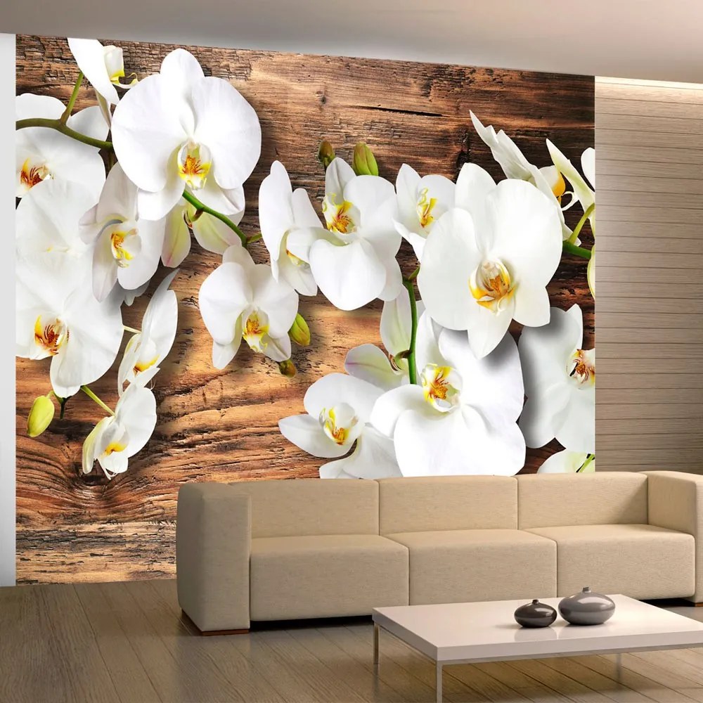 Fototapeta - Snow-white orchids - 300x231